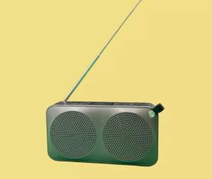 Sandstrom Dab Radio